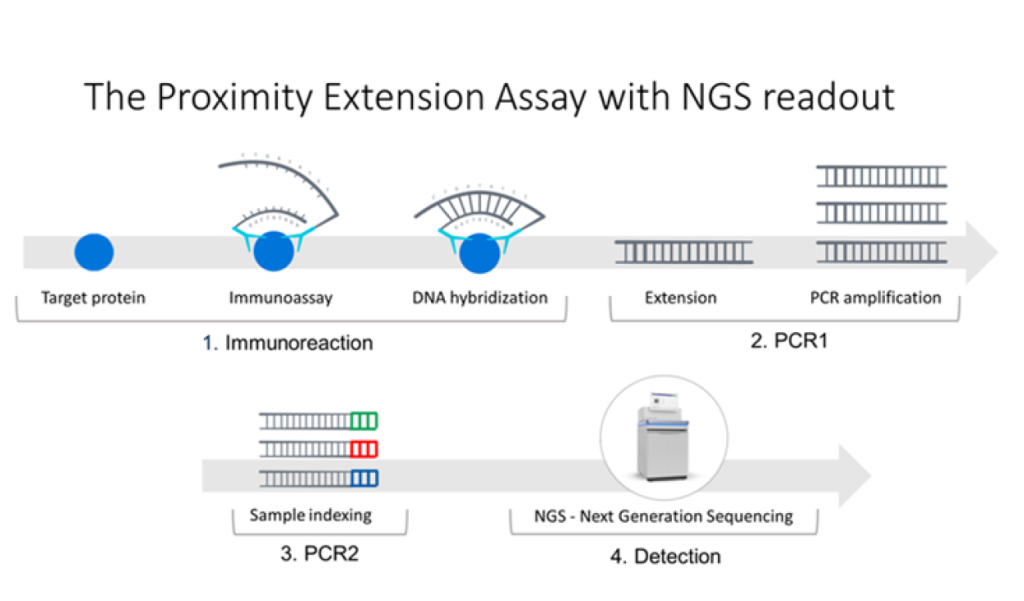 Olink Explore - Protavio